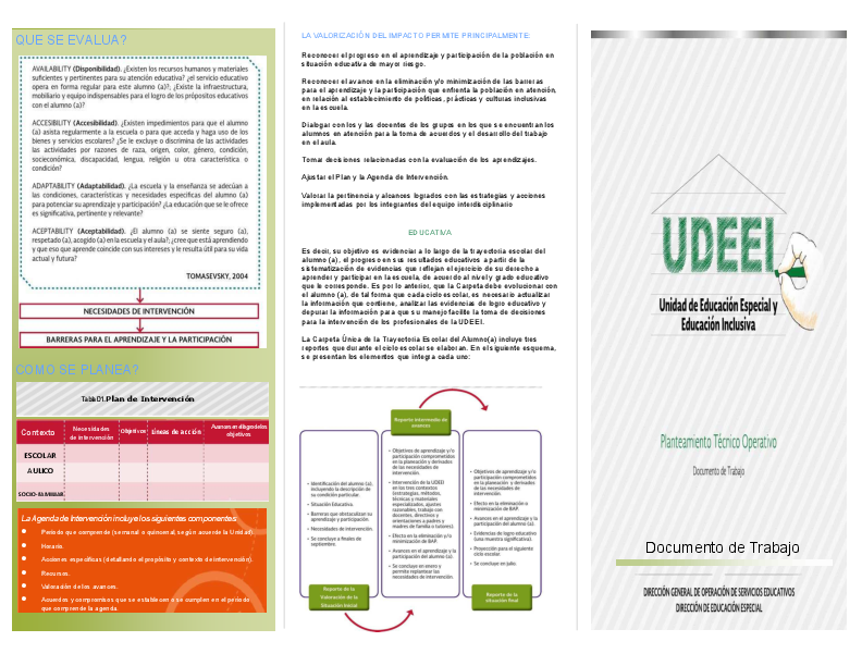 (PDF) Triptico UDEEI Planteamiento Tecnico Operativo