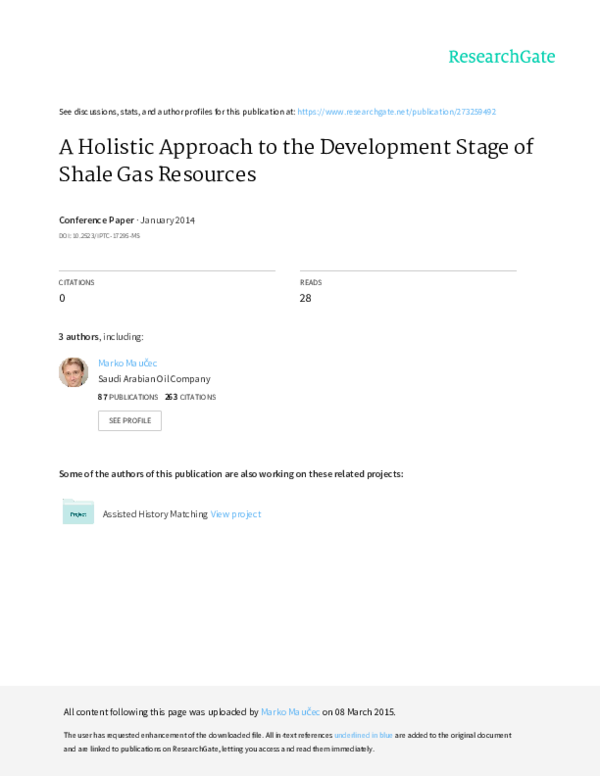 (PDF) A Holistic Approach to the Development Stage of Shale Gas Resources