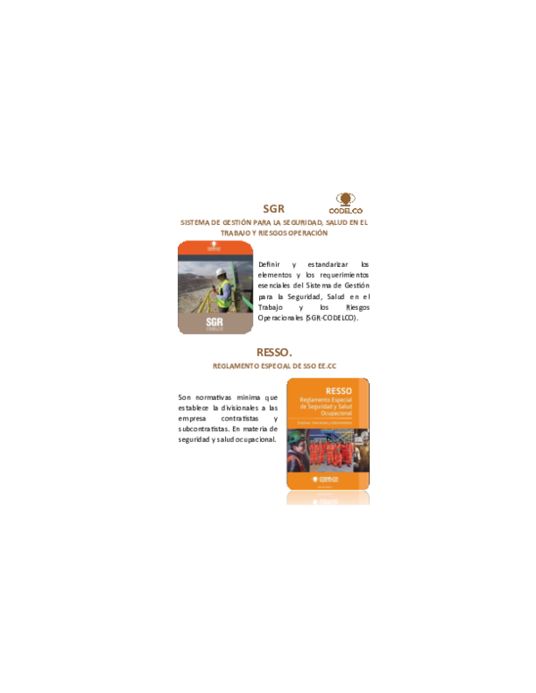 (PDF) SGR SISTEMA DE GESTIÓN PARA LA SEGURIDAD, SALUD EN EL TRABAJO Y ...