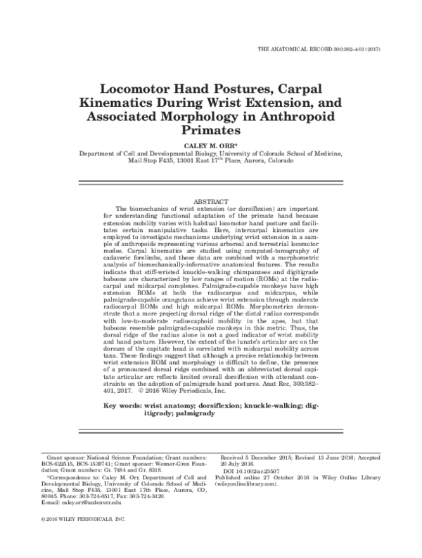 (PDF) Locomotor Hand Postures, Carpal Kinematics During Wrist Extension ...