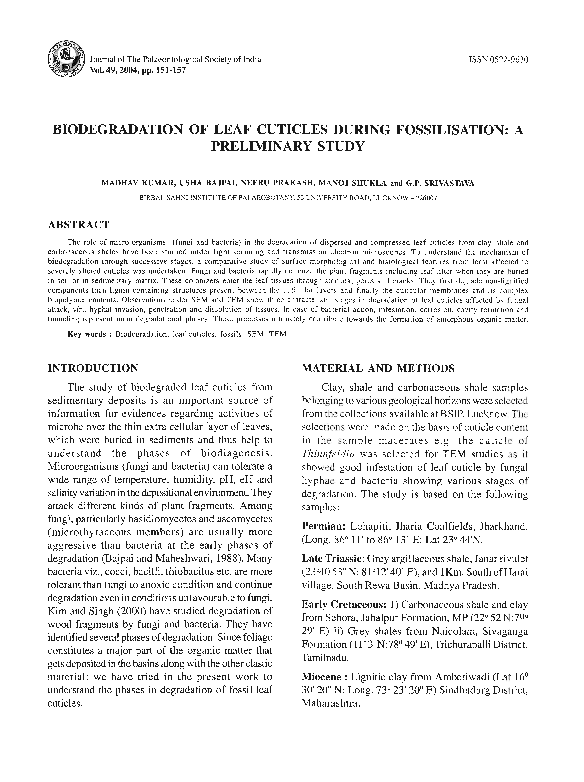 (PDF) biodegradation Biodegradation of leaf cuticles during ...