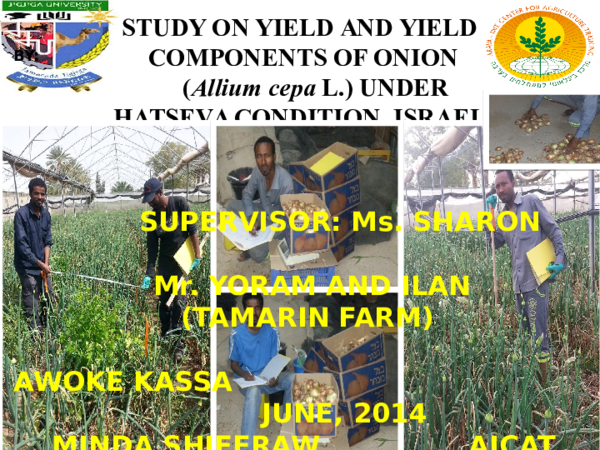 (PPT) Minda Mini Project ppt.pptx