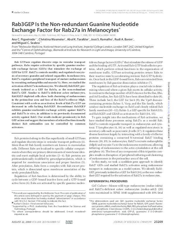 (PDF) Rab3GEP Is the Non-redundant Guanine Nucleotide Exchange Factor ...