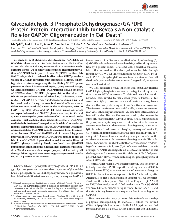 (PDF) Glyceraldehyde-3-Phosphate Dehydrogenase (GAPDH) Protein-Protein ...