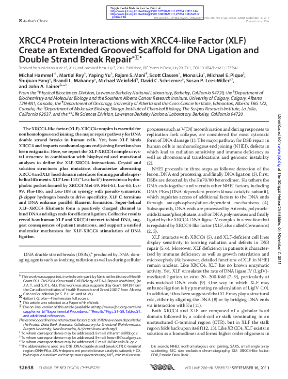 (PDF) XRCC4 Protein Interactions with XRCC4-like Factor (XLF) Create an ...