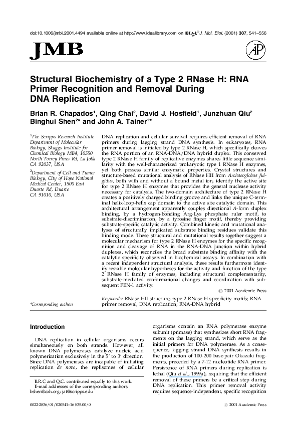 (PDF) Structural biochemistry of a type 2 RNase H: RNA primer ...