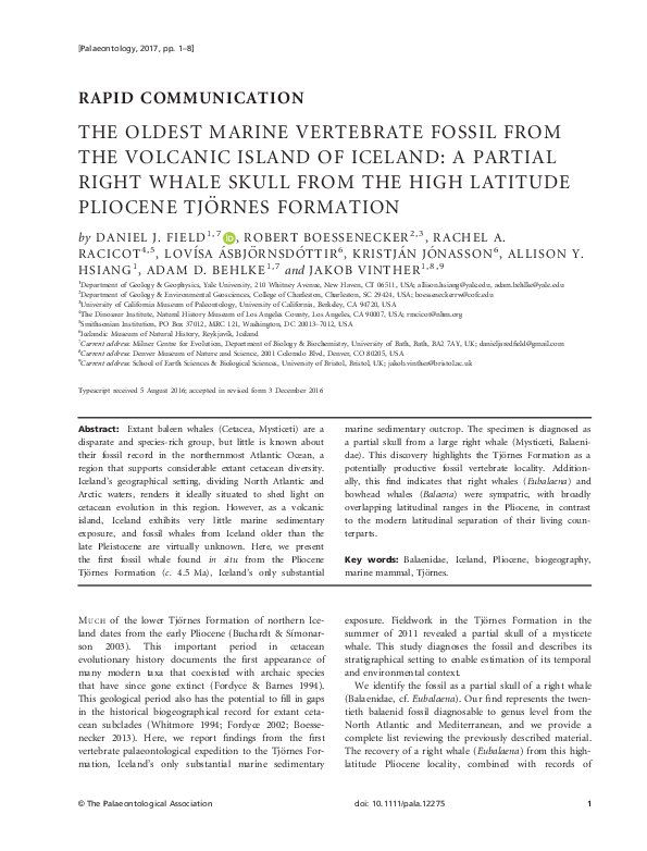 (PDF) The oldest marine vertebrate fossil from the volcanic island of ...