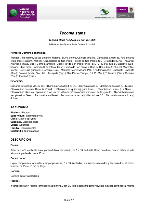 (PDF) Tecoma stans