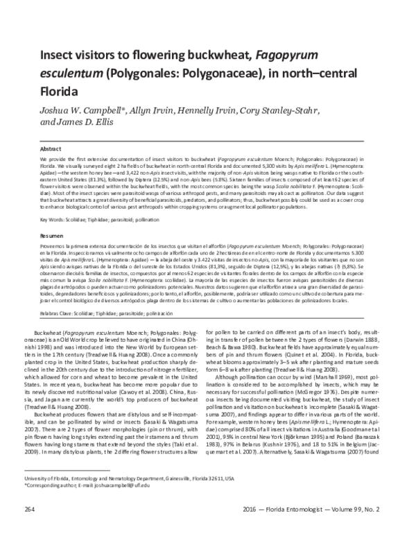 (PDF) Insect visitors to flowering buckwheat, Fagopyrum esculentum ...