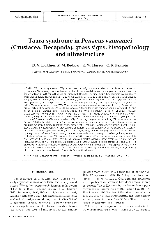 (PDF) Taura syndrome in Penaeus vannamei (Crustacea:Decapoda):gross ...
