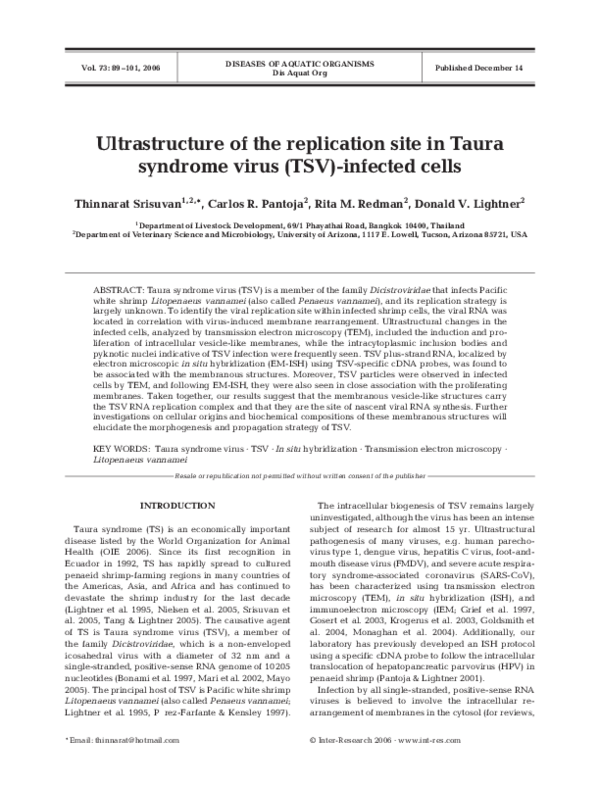 (PDF) Ultrastructure of the replication site in Taura syndrome virus ...