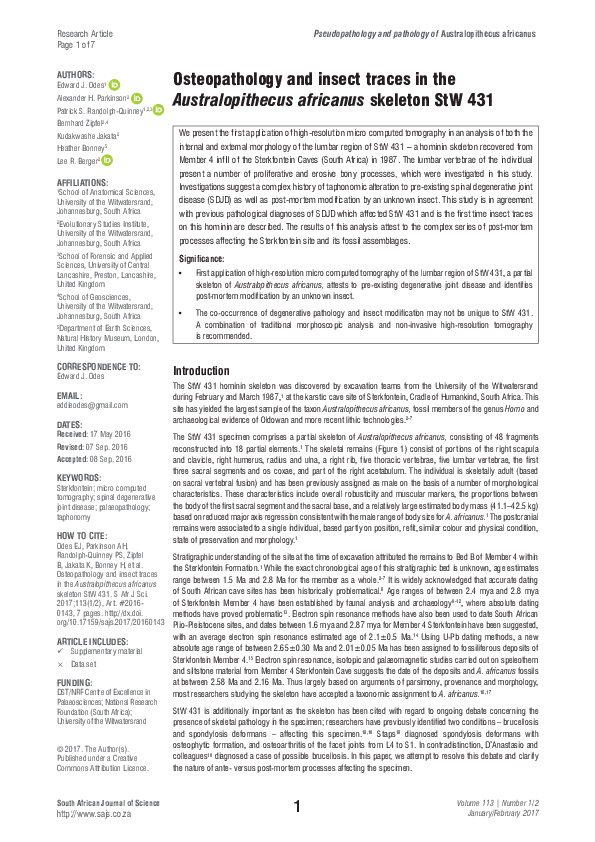 (PDF) Osteopathology and insect traces in the Australopithecus ...