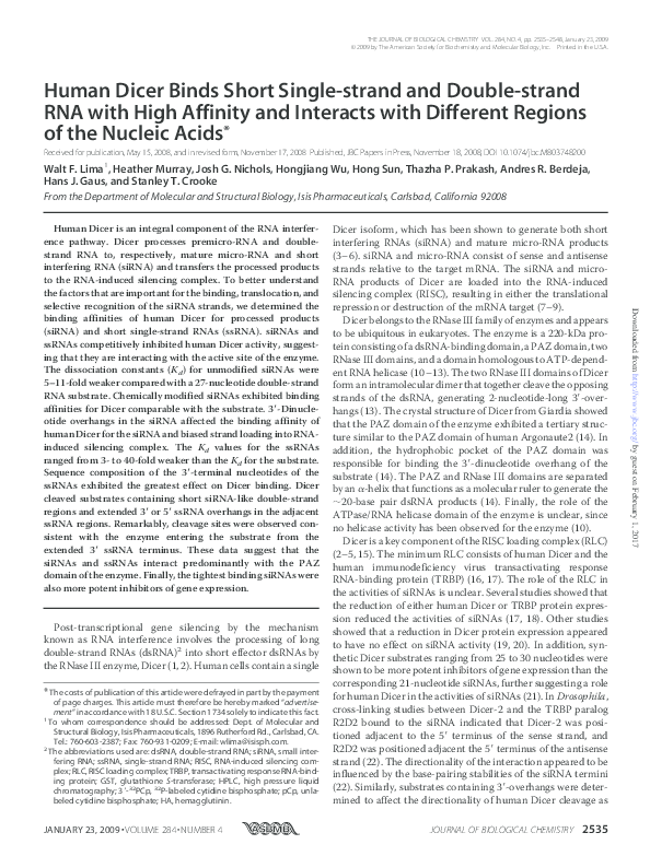(PDF) Human Dicer Binds Short Single-strand and Double-strand RNA with ...