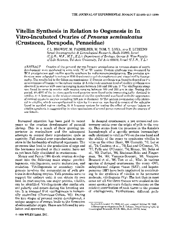 (PDF) Vitellin synthesis in relation to oogenesis in in vitro-incubated ...