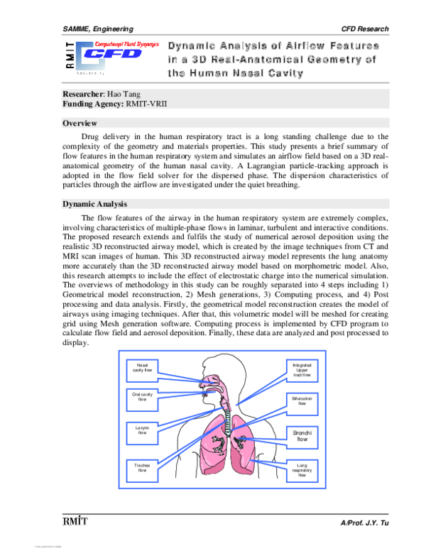 (PDF) Dynamic analysis of airflow features in a 3D real-anatomical ...