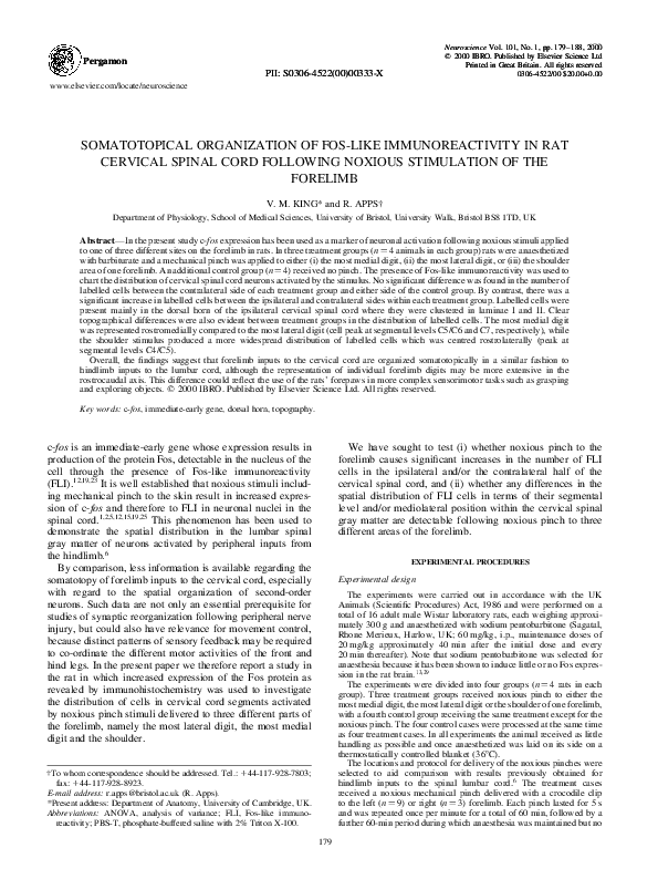 (PDF) Somatotopical organization of Fos-like immunoreactivity in rat ...