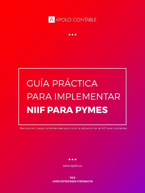 (PDF) GUÍA PRÁCTICA PARA IMPLEMENTAR NIIF PARA PYMES