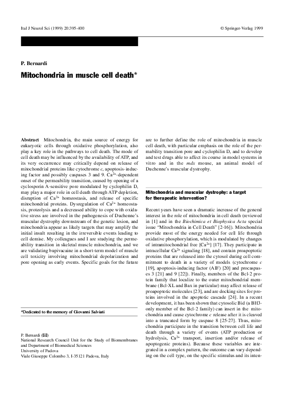 (PDF) Mitochondria in muscle cell death