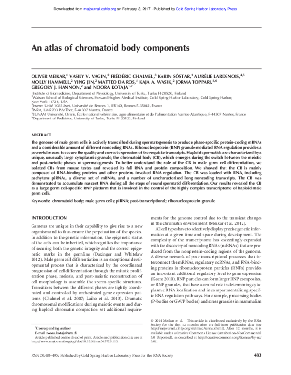 (PDF) An atlas of chromatoid body components