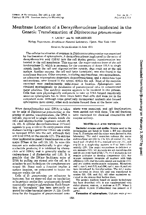 (PDF) Membrane location of a deoxyribonuclease implicated in the ...