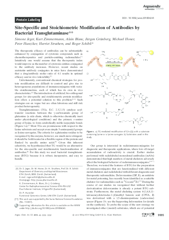(PDF) Site-Specific and Stoichiometric Modification of Antibodies by ...