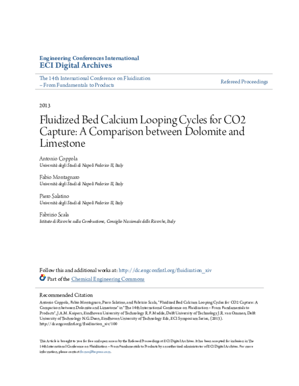 (PDF) Fluidized bed calcium looping cycles for CO2 capture under oxy-firing calcination ...
