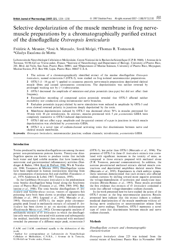 (PDF) Selective depolarization of the muscle membrane in frog nerve ...