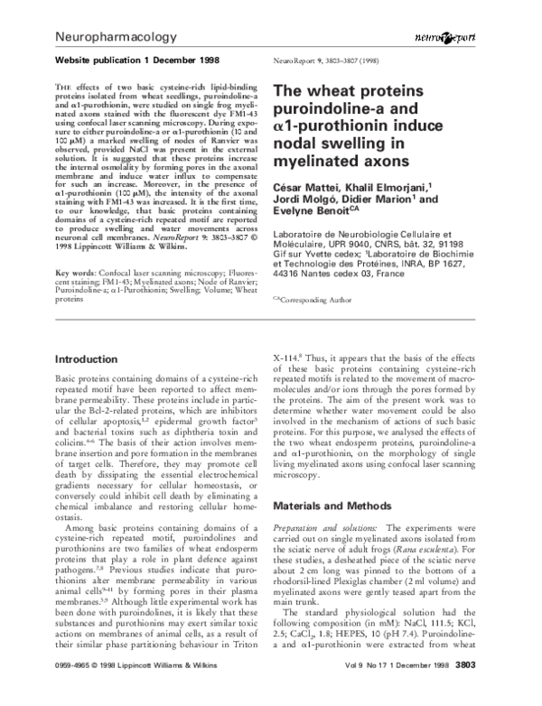 (PDF) The wheat proteins puroindoline-a and [alpha]1-purothionin induce ...