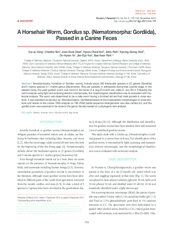 (PDF) A Horsehair Worm, Gordius sp. (Nematomorpha: Gordiida), Passed in ...
