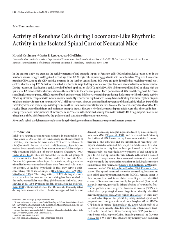 (PDF) Activity of Renshaw Cells during Locomotor-Like Rhythmic Activity ...