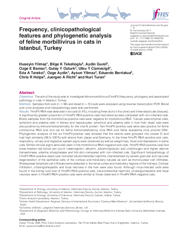 (PDF) Frequency, clinicopathological features and phylogenetic analysis ...