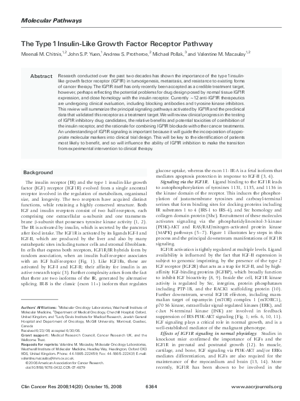 (PDF) The Type 1 Insulin-Like Growth Factor Receptor Pathway | Andrew ...