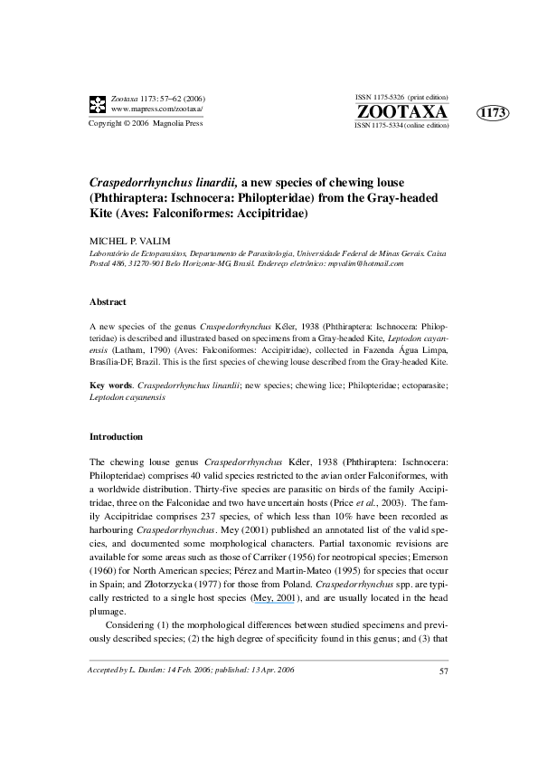 (PDF) Craspedorrhynchus linardii, a new species of chewing louse ...