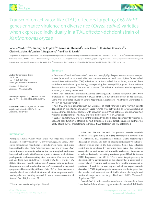 (PDF) Transcription activator-like (TAL) effectors targeting OsSWEET ...