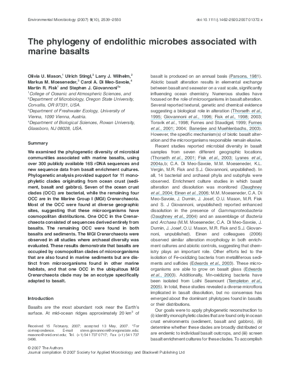 (PDF) The phylogeny of endolithic microbes associated with marine basalts