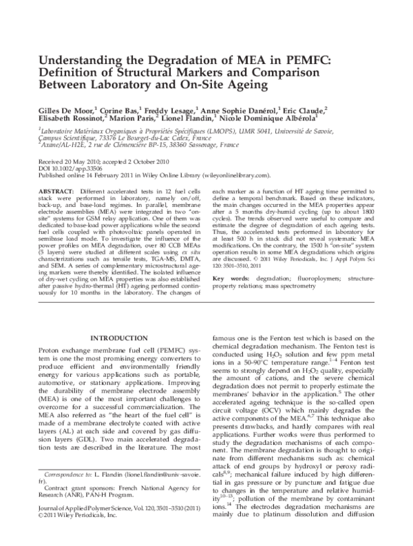 (PDF) Understanding the degradation of MEA in PEMFC: Definition of ...