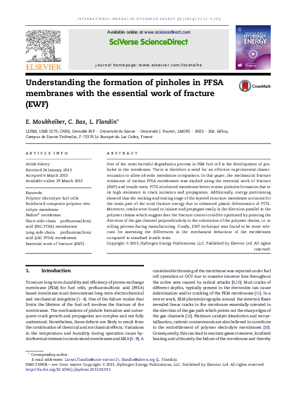 (PDF) Understanding the formation of pinholes in PFSA membranes with ...