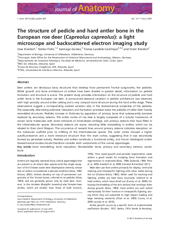 (PDF) The structure of pedicle and hard antler bone in the European roe ...