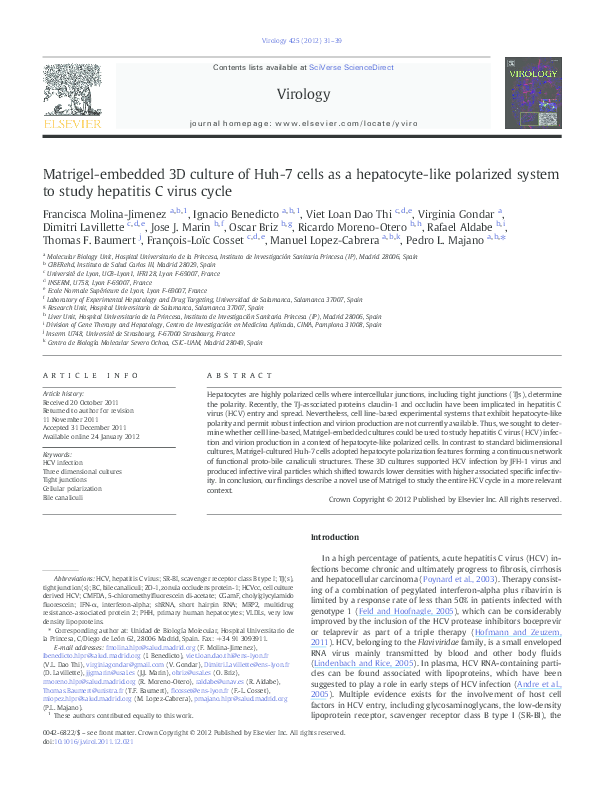 (PDF) Matrigel-embedded 3D culture of Huh-7 cells as a hepatocyte-like ...