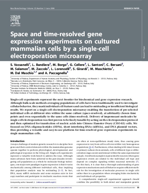 (PDF) Space and time-resolved gene expression experiments on cultured ...