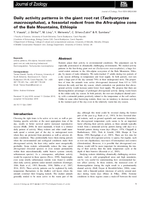 (PDF) Daily activity patterns in the giant root rat (Tachyoryctes ...