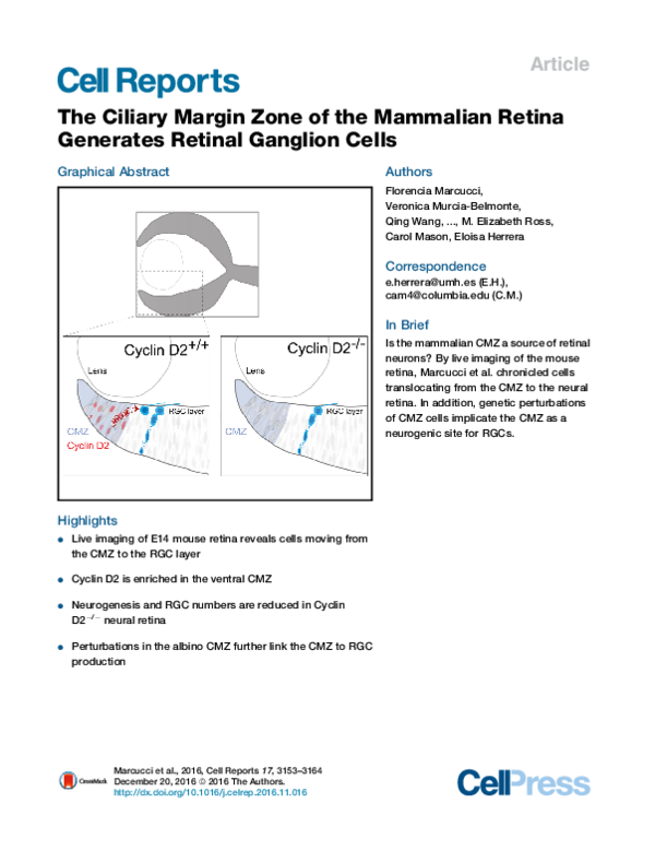 (PDF) The Ciliary Margin Zone of the Mammalian Retina Generates Retinal ...