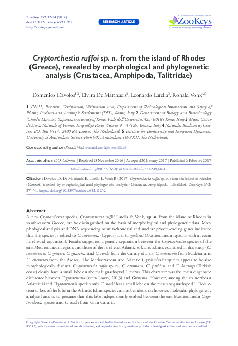 (PDF) Cryptorchestia ruffoi sp. n. from the island of Rhodes (Greece ...