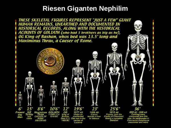 Nephilim Reuzen Skeletten Ist Das Der Beweis Dafür, Dass Es Riesen