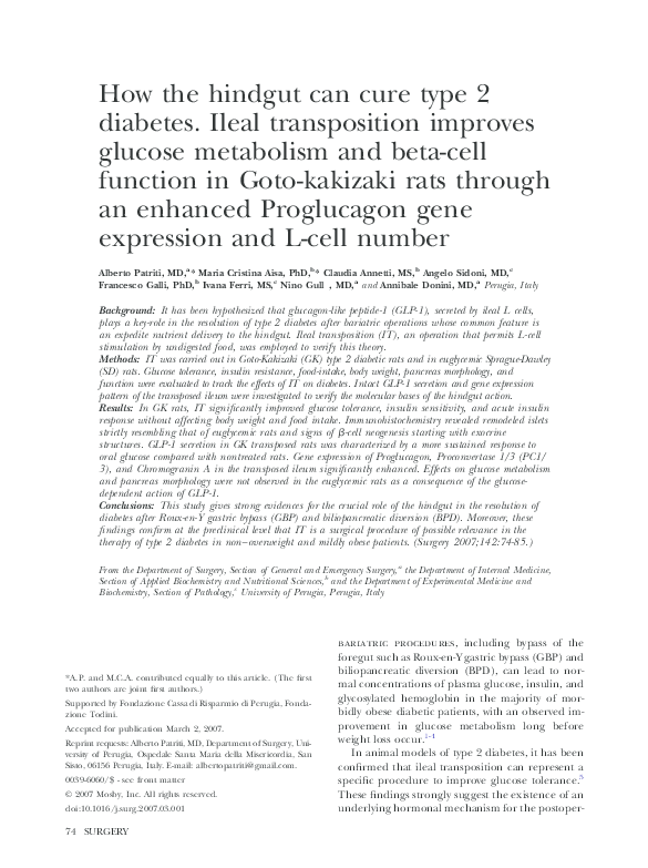 (PDF) How the hindgut can cure type 2 diabetes. Ileal transposition ...