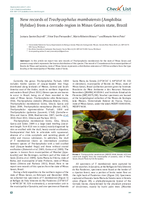 (PDF) Hyla luctuosa, a new treefrog from southeastern Brazil (Amphibia ...