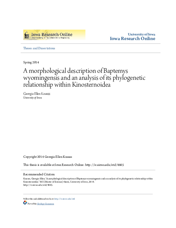 (PDF) A morphological description of Baptemys wyomingensis and an ...