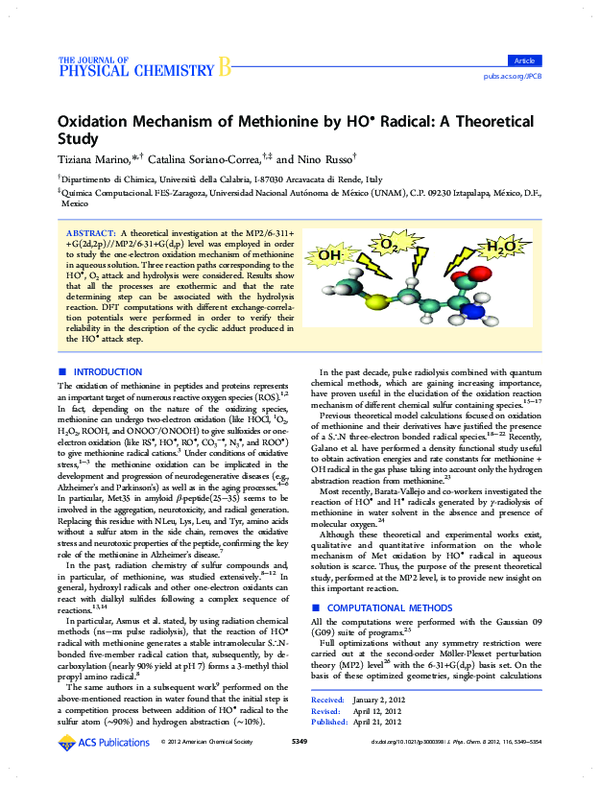 (PDF) Oxidation Mechanism of Methionine by HO • Radical: A Theoretical ...