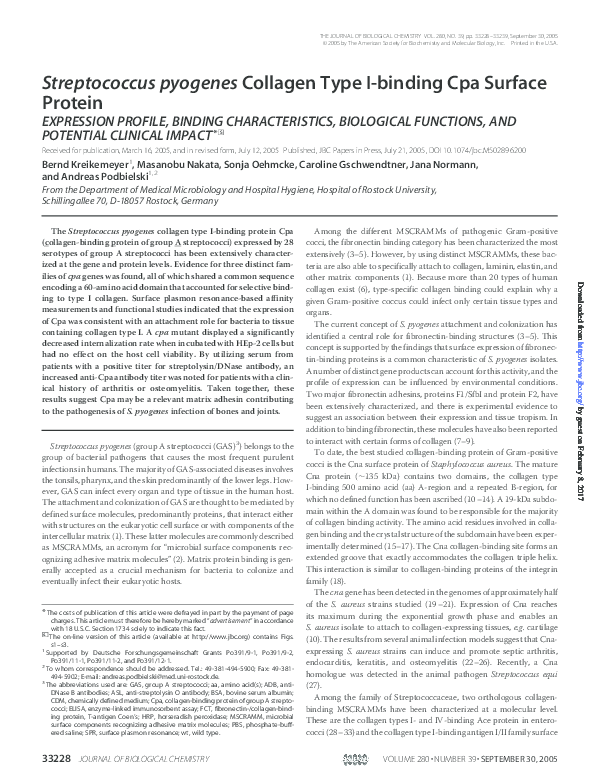 (PDF) Streptococcus pyogenes Collagen Type I-binding Cpa Surface Protein: EXPRESSION PROFILE ...