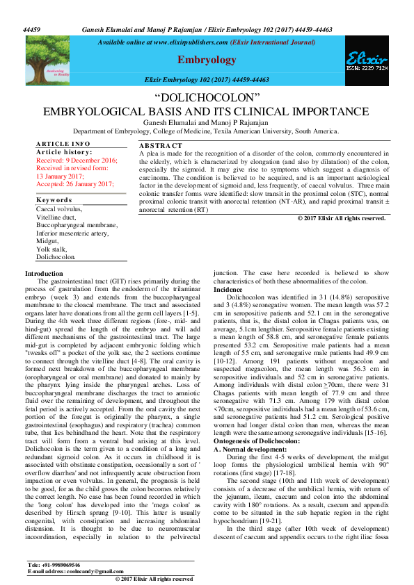 (PDF) “DOLICHOCOLON” EMBRYOLOGICAL BASIS AND ITS CLINICAL IMPORTANCE